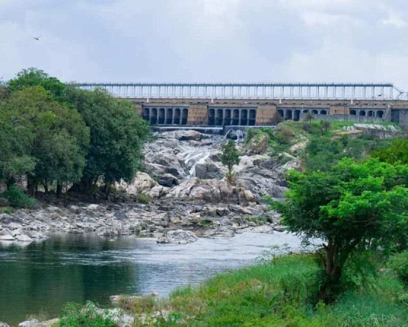 Discovering Mysore's Natural Wonders: Guided Half Day Tour - Authentic Feedback from Travelers