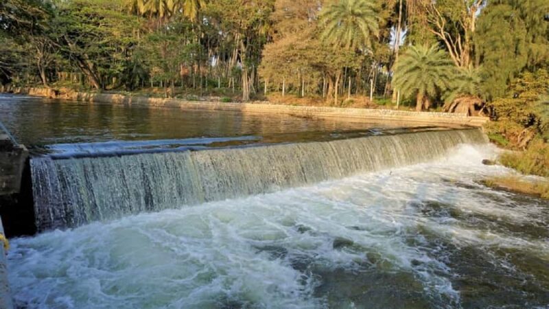 Discovering Mysore's Natural Wonders: Guided Half Day Tour - The Sum Up