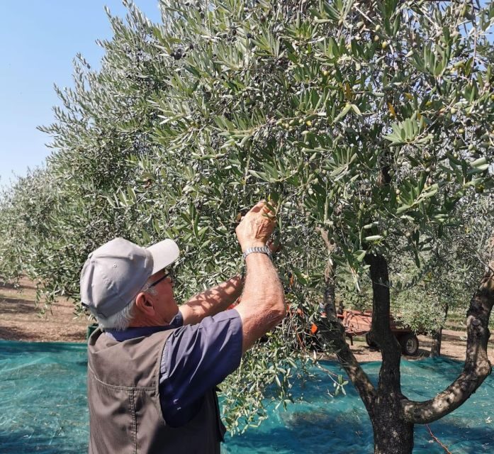 Discovering nature and flavors of Pantalica - The Tasting Experience at a Local Farm