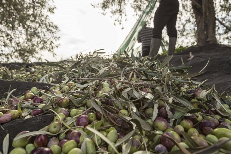 Discovering nature and flavors of Pantalica - FAQs