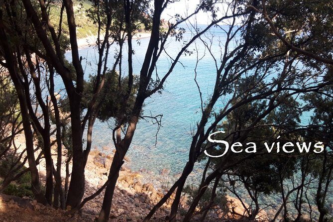 Discovering the Land of the Centenaries and swimming in the Natural Pools - The Route and What to Expect