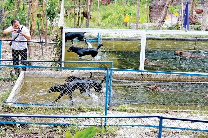 Discovering the South Island and Paragliding Phu Quoc - Frequently Asked Questions