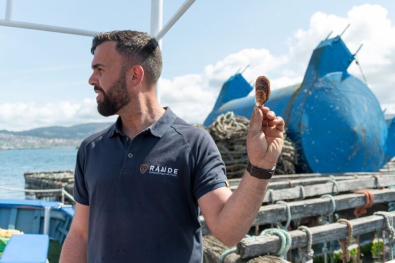 Discovering Vigo ria and mussels in the traditional boat - A Closer Look at the Experience