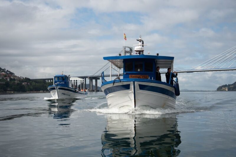 Discovering Vigo ria and mussels in the traditional boat - Who Is This Tour Best For?