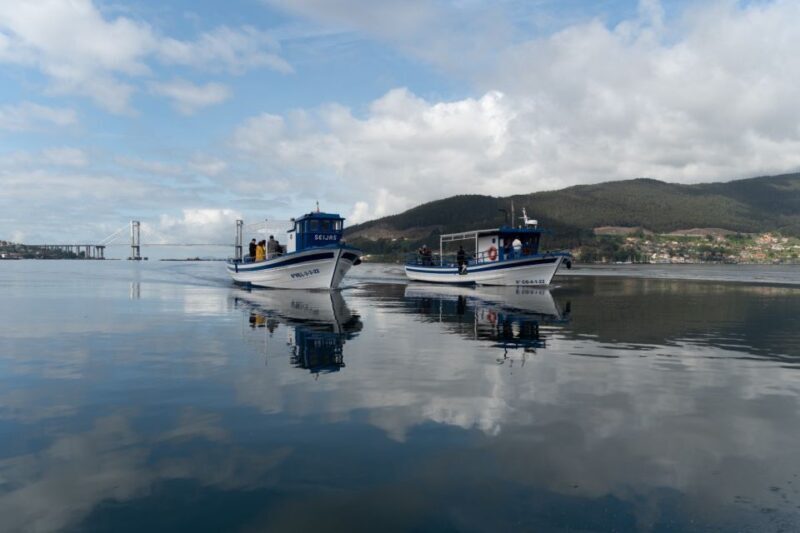 Discovering Vigo ria and mussels in the traditional boat - Final Thoughts: Why Choose This Experience?