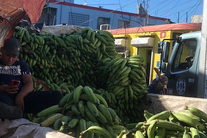 discovery and adventure of the local Dominican life in small group - Who Would Love This Tour?