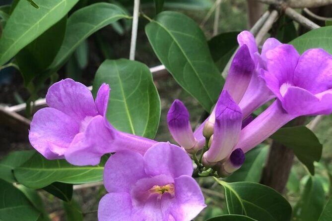 discovery and adventure of the local Dominican life in small group - The Sum Up