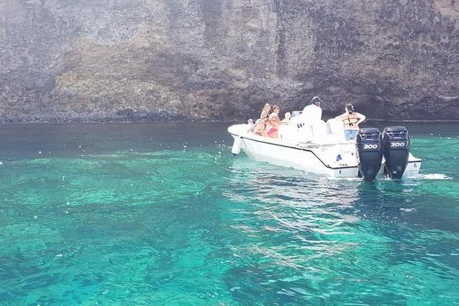 Discovery and snorkeling with sea turtles - Key Points