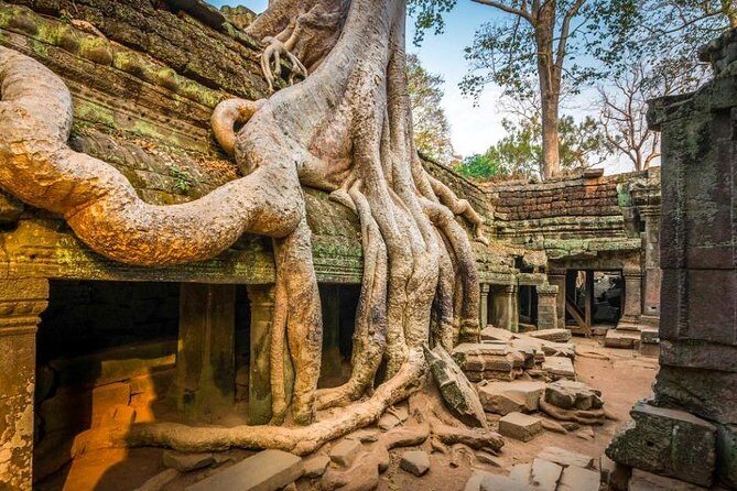 Discovery Angkor Wat Temple Two Days Tour - Day 1: The Heart of Angkor Thom and Ta Prohm