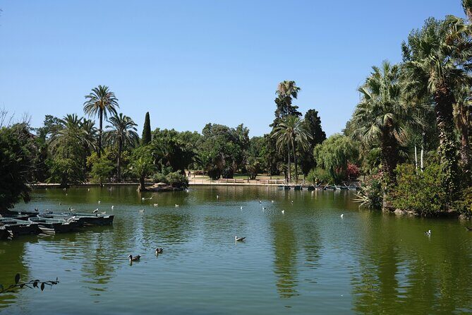 Discovery bike tour of Barcelona - Exploring Barcelona by Bike: An Overview