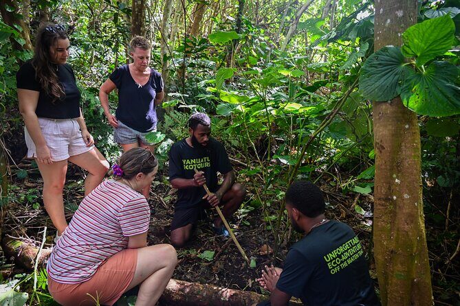 Discovery Bush Walk from Port Vila - A Close Look at the Tour Experience