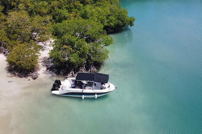Discovery day at La Baignoire de Joséphine on the windward side - An Authentic Day in Martinique’s Scenic Coast