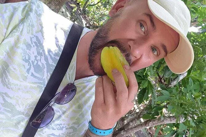 Discovery DE the real Dominican Republic EN small committee. - Authenticity and Value