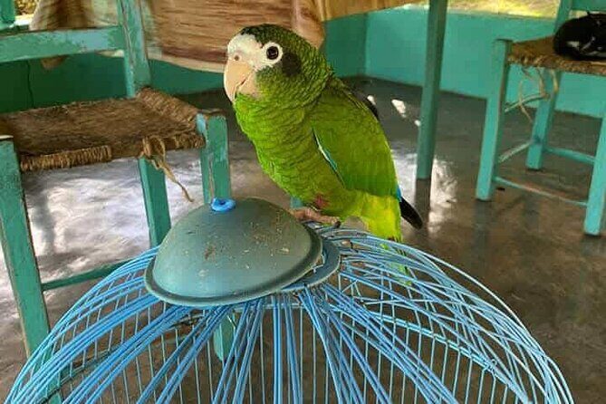 Discovery DE the real Dominican Republic EN small committee. - Who Would Love This Tour?