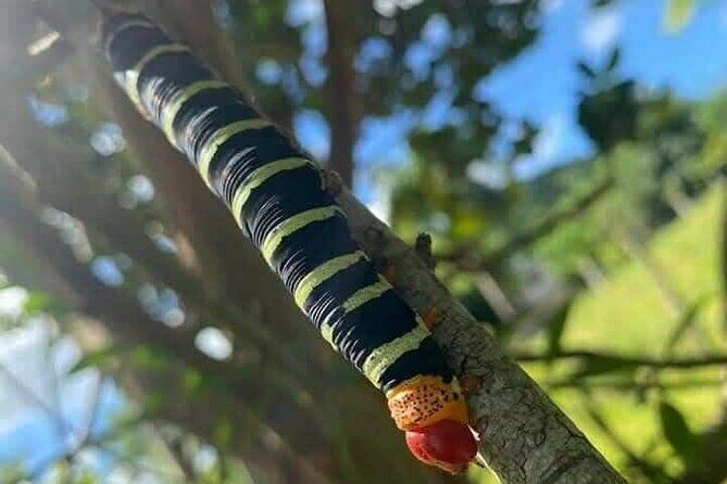 Discovery DE the real Dominican Republic EN small committee. - Frequently Asked Questions