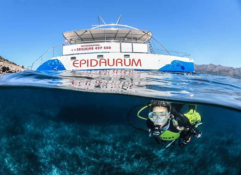 Discovery Dive - 2 hour Uncertified Diver Introductory Dive - What to Expect from the Discovery Dive