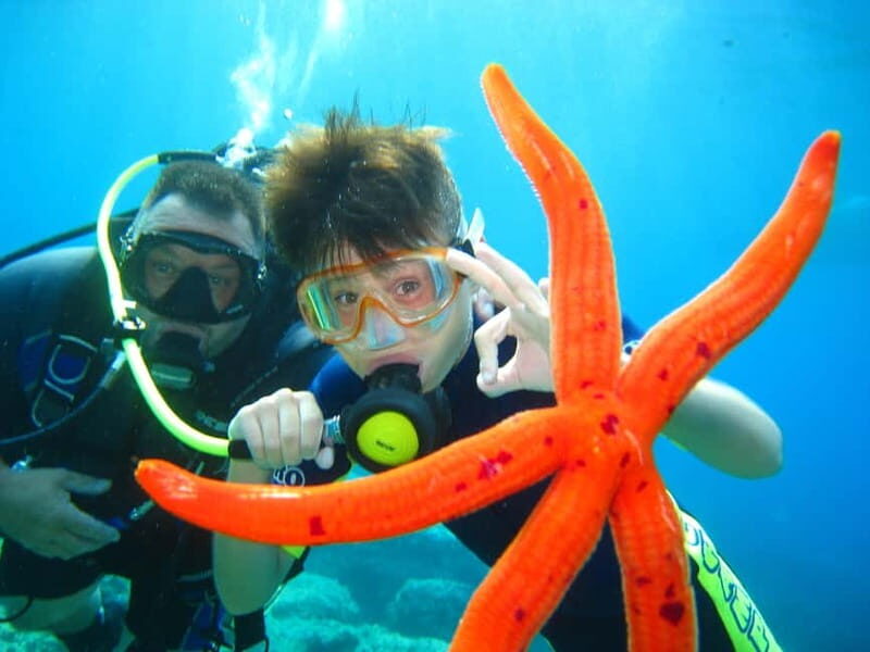 Discovery Dive - 2 hour Uncertified Diver Introductory Dive - The Practicalities: Logistics, Cost, and Experience