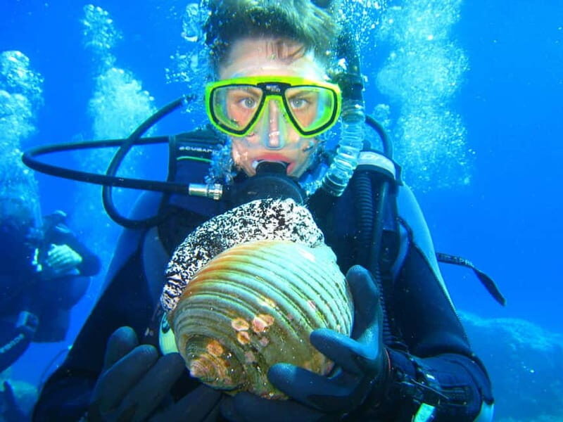 Discovery Dive - 2 hour Uncertified Diver Introductory Dive - The Sum Up