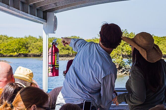 Discovery Dolphin Boat Tour - Setting the Scene: What to Expect on the Tour
