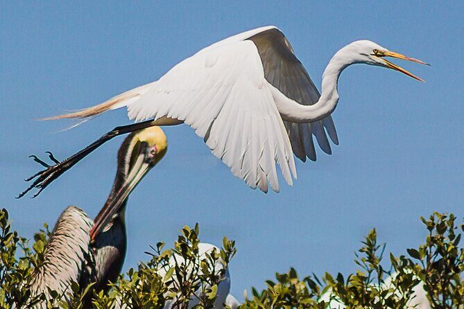 Discovery Dolphin Boat Tour - A Closer Look at the Itinerary