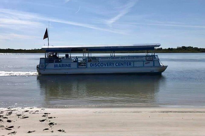 Discovery Dolphin Boat Tour - Practical Details: What You Need to Know