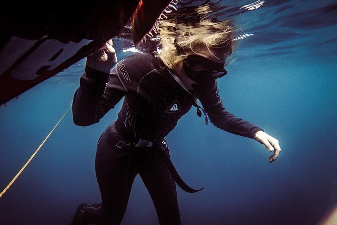 Discovery Freediving Program - Who Should Consider This Tour?