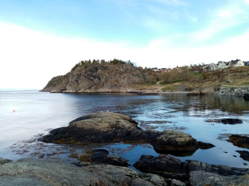 Discovery hike along the Trondheimsfjord - Why This Tour Stands Out