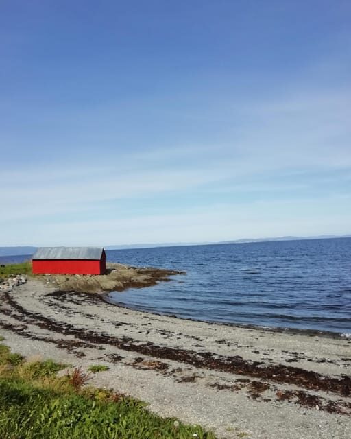 Discovery hike along the Trondheimsfjord - What to Expect: Practical Details