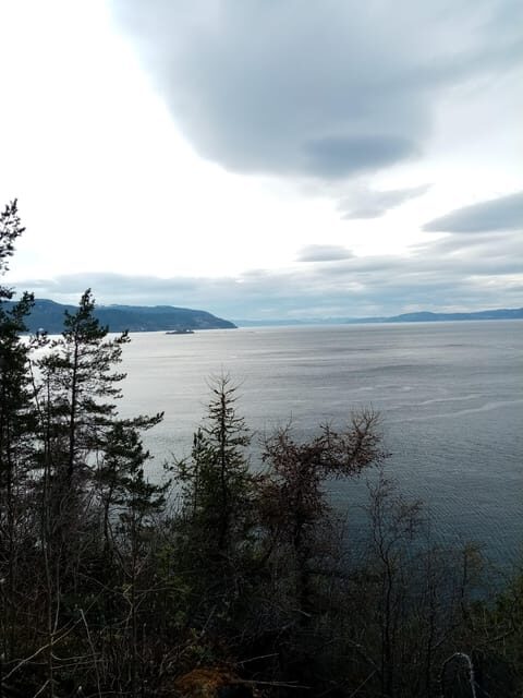 Discovery hike along the Trondheimsfjord - Who Will Love This Tour?