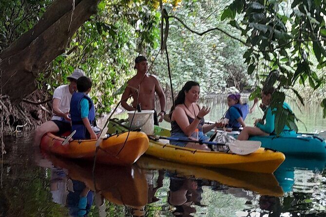 Discovery in Kayaking of the Faaroa River in Raiatea - Who Should Consider This Tour?