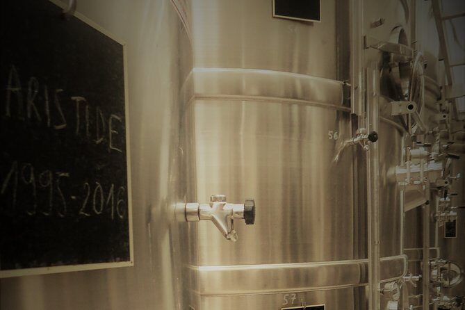 Discovery of a Champagne from Vintner, from the cellar to the tasting - The Cellar Visit: Where the Magic Happens