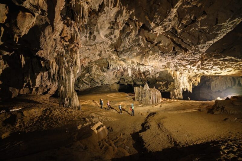 Discovery of amazing Dark cave and Phong Nha cave - Who Will Benefit Most?
