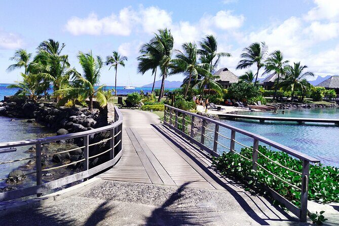 Discovery of the West Coast of Heipoerau Half Day Private - Final Thoughts: Is It Worth It?