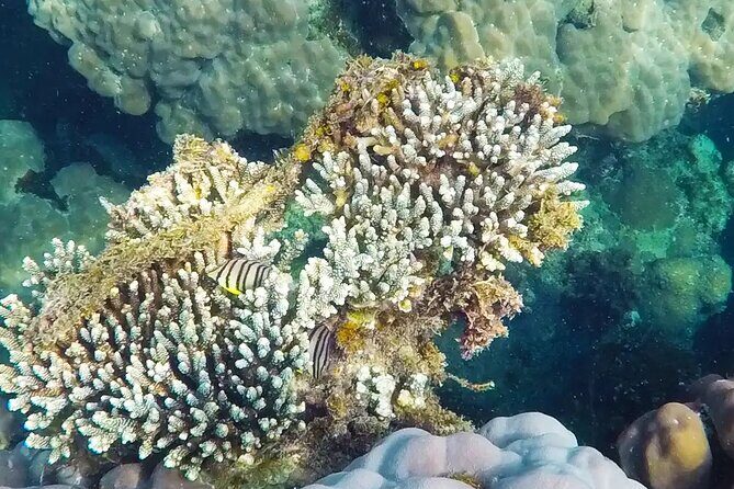 Discovery Phu quoc Trip with 2 Island by Boat - Key Points