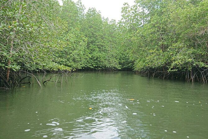 Discovery Phuket & Fantasea Show with Dinner - What’s Included and What to Keep in Mind