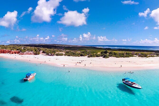 Discovery Powerboat Tour ,Snorkeling with Turtles & BBQ Lunch - Why This Tour Is a Great Choice