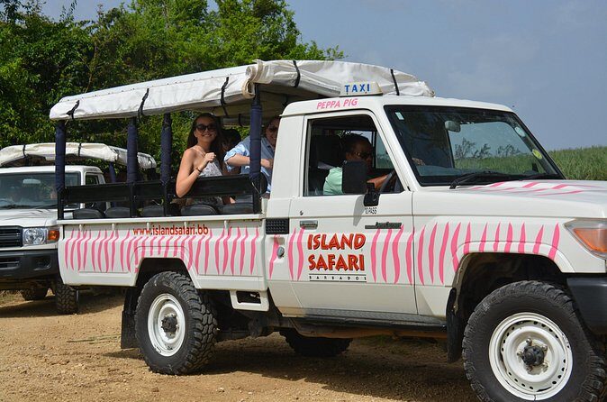 Discovery Safari - Final Thoughts