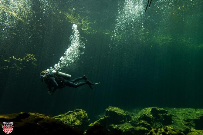 Discovery Scuba Diving - An Overview of the Experience