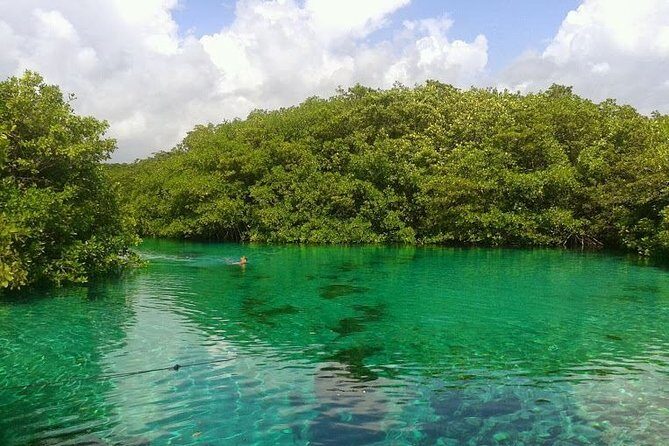 Discovery Scuba Diving - Practical Details: What You Need to Know