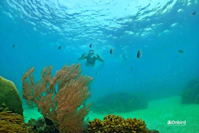 [DISCOVERY SNORKELING] 4 Islands-2 Reefs & BBQ [MAX 12 PAX] - An Honest Look at the Snorkeling Adventure in Phu Quoc