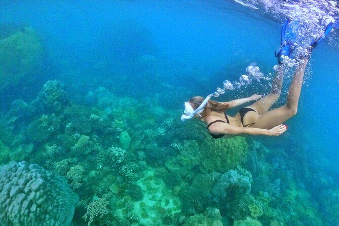 [DISCOVERY SNORKELING] 4 Islands-2 Reefs & BBQ [MAX 12 PAX] - Who Should Book This Tour?