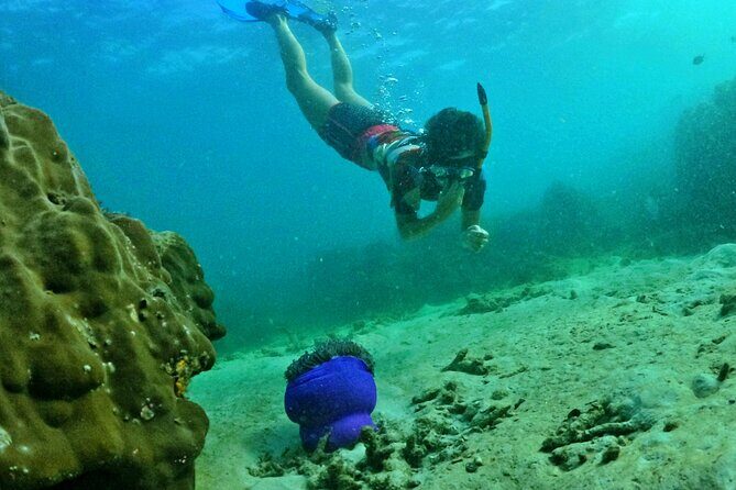 [DISCOVERY SNORKELING] 4 Islands-2 Reefs & BBQ [MAX 12 PAX] - FAQ