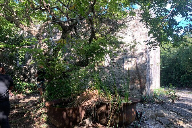 Discovery Tour and Treasure Hunt ( North and Middle Caicos) - An In-Depth Look at the Tour Experience