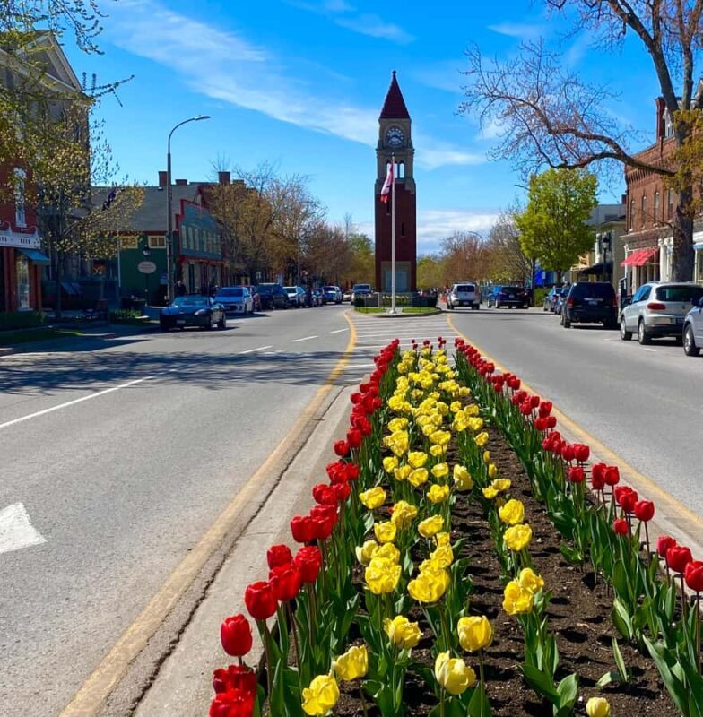 Discovery Tour: From Niagara Falls to Niagara-on-the-Lake - An Introduction to the Tour