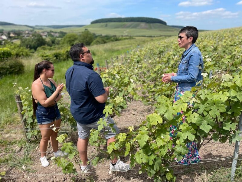 Discovery Tour Reims and Epernay - The Avenue de Champagne and a Final Tasting