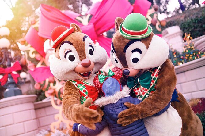 Disneyland® Paris 1 Day with Round-Trip Train Tickets from Paris - Who Should Consider This Tour?