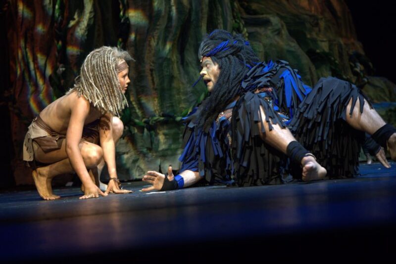 Disney's Tarzan Musical - How About the Experience Overall?