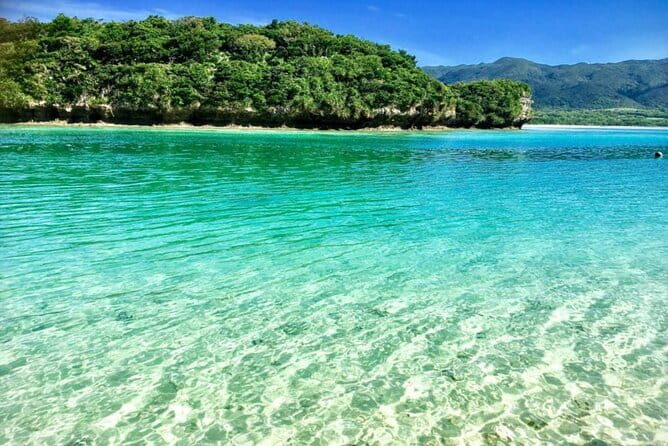 Distillation of Okinawa Herb Essential Oil and Herbal Water - Who Should Consider This Tour?