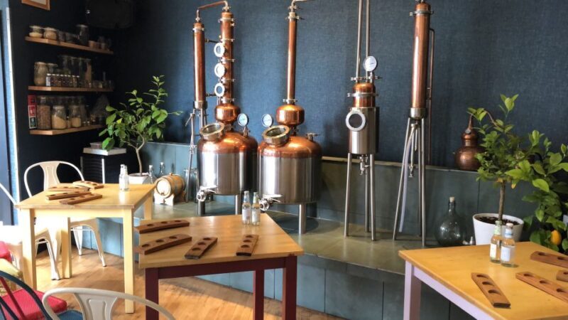 Distillery Masterclass - 8 Scottish gins paired with cheeses - Key Points