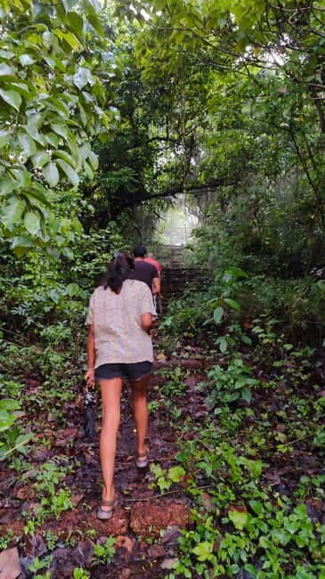 Divar Island Excursion with a Native Islander - A Laid-Back Journey Through Goa’s Lesser-Known Side